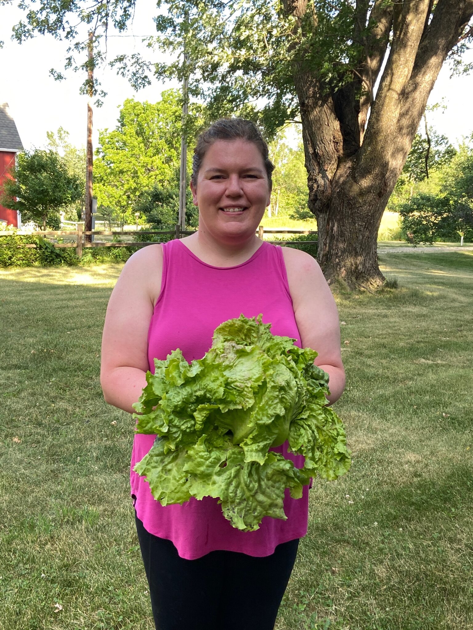 Thompson Family Farm: Historic Site Provides Fresh Fruits and Veggies ...