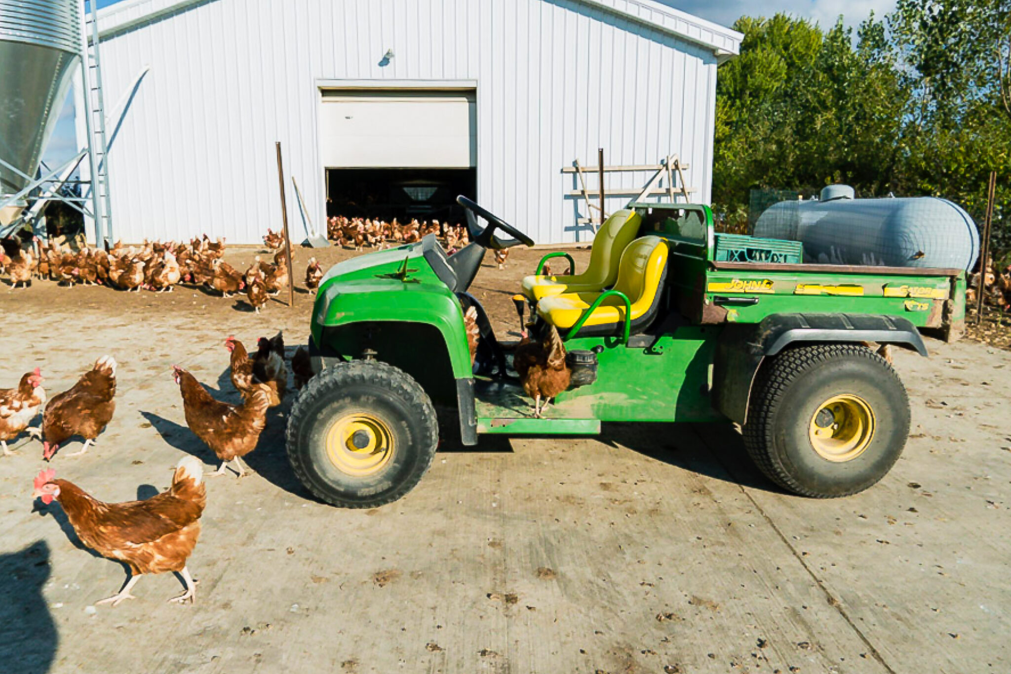 Farm Experience in Dakota County: Brand Farms has an old world approach ...