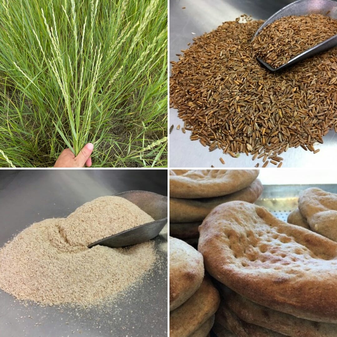 Artisan Naan Bakery: Bringing a More Sustainable Bread to Your Table ...