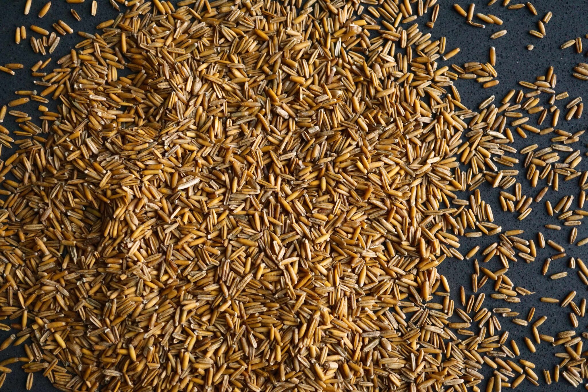 Why Kernza Crackers Matter: Perennial Pantry's Quest for the Home Cook ...