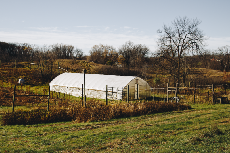 North Circle Seeds is Seeding a More Diverse Food System - Meet the ...