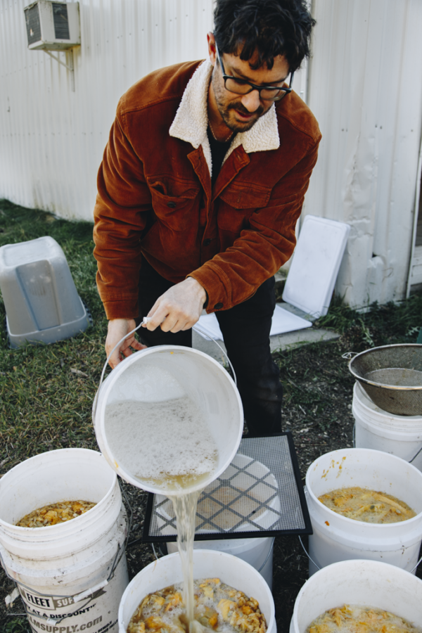 North Circle Seeds is Seeding a More Diverse Food System - Meet the ...