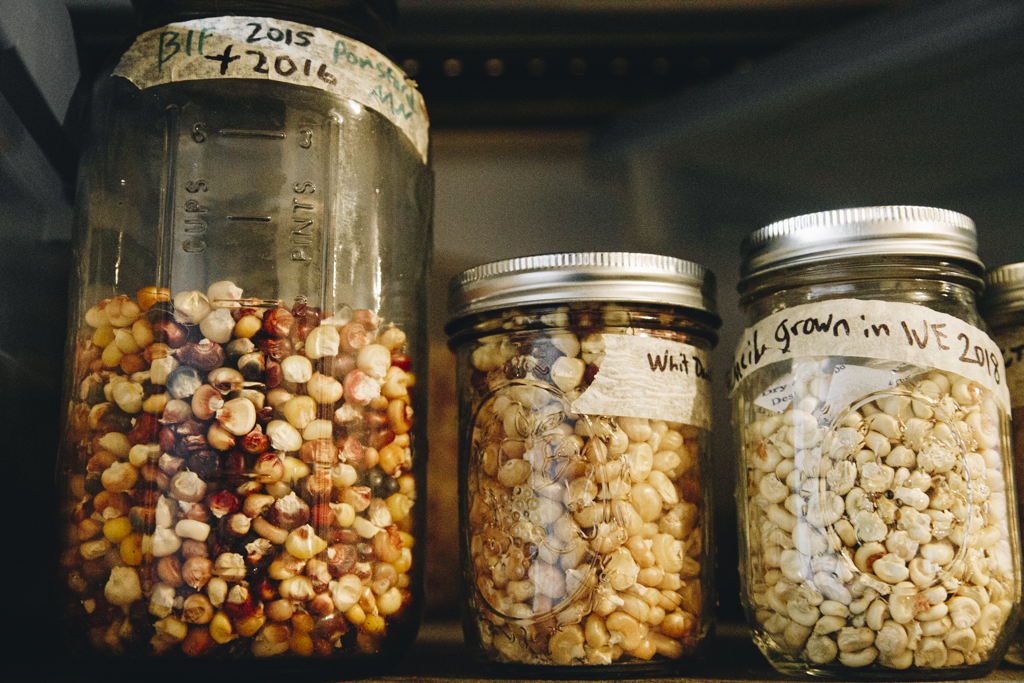 North Circle Seeds is Seeding a More Diverse Food System - Meet the ...